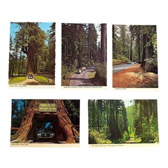 other | Office | Lot Of 5 Vintage Tree Scenery Nature Scalloped Edges ...